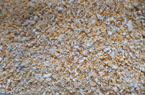 Receta de chacá dominicano (maíz caquiao): Postre tradicional de ...